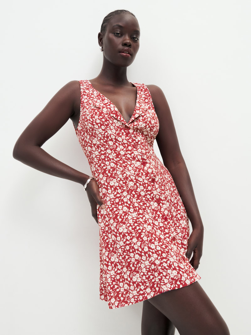 Rilynn Dress - Sleeveless Mini | Reformation