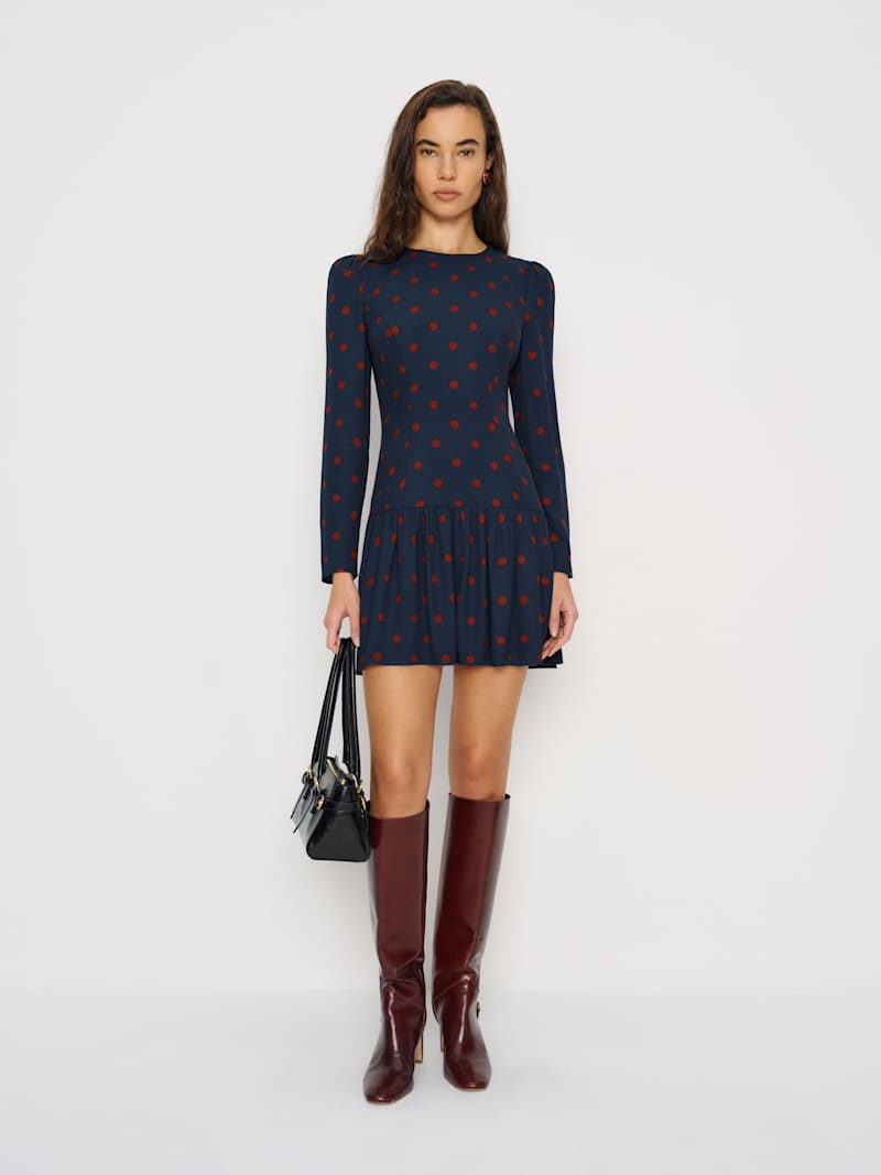 Vaila Dress